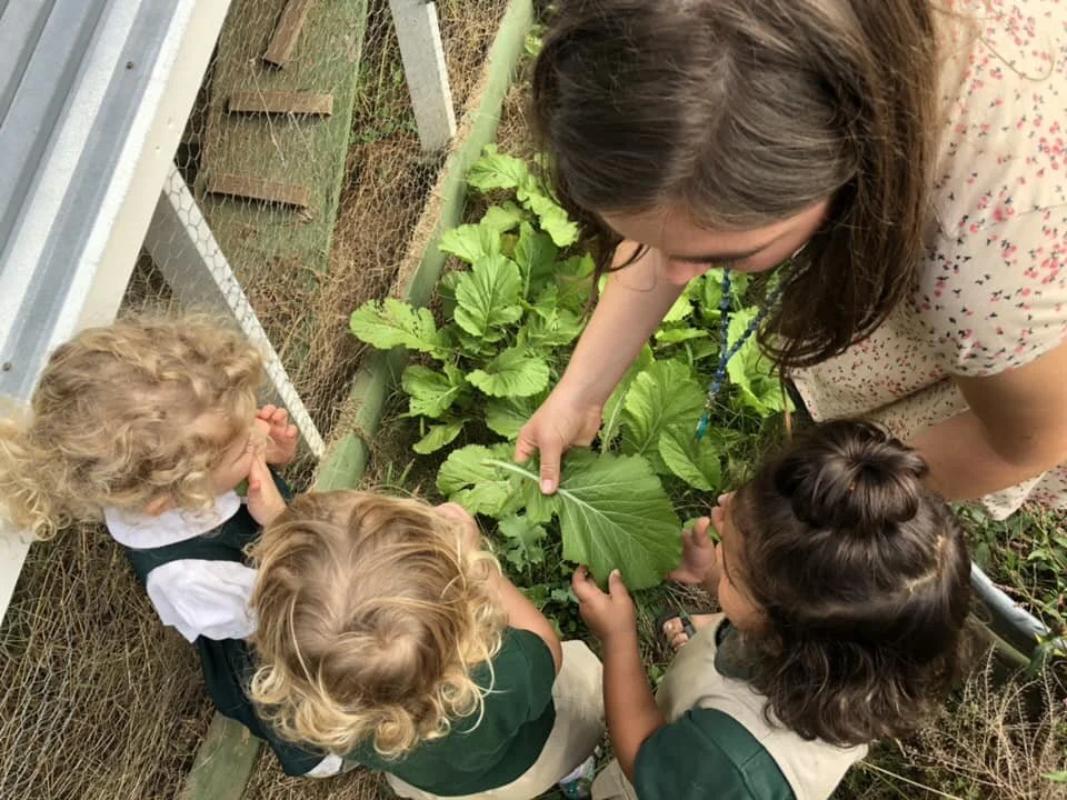 Early Childcare & Education — Mississippi Farm to School Network