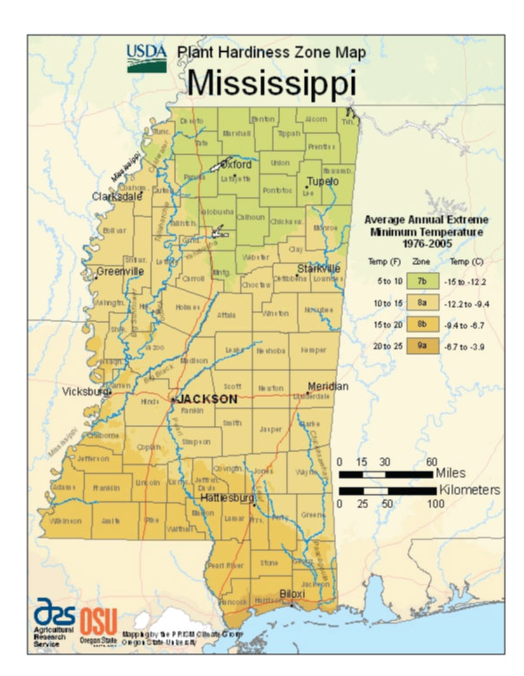 Spring & Summer Planting Dates — Mississippi Farm to School Network