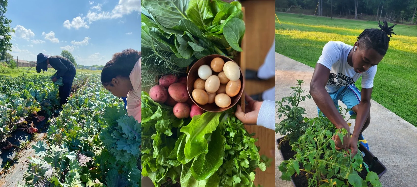Mississippi Farm to School Youth Leadership Cohort — Mississippi Farm ...