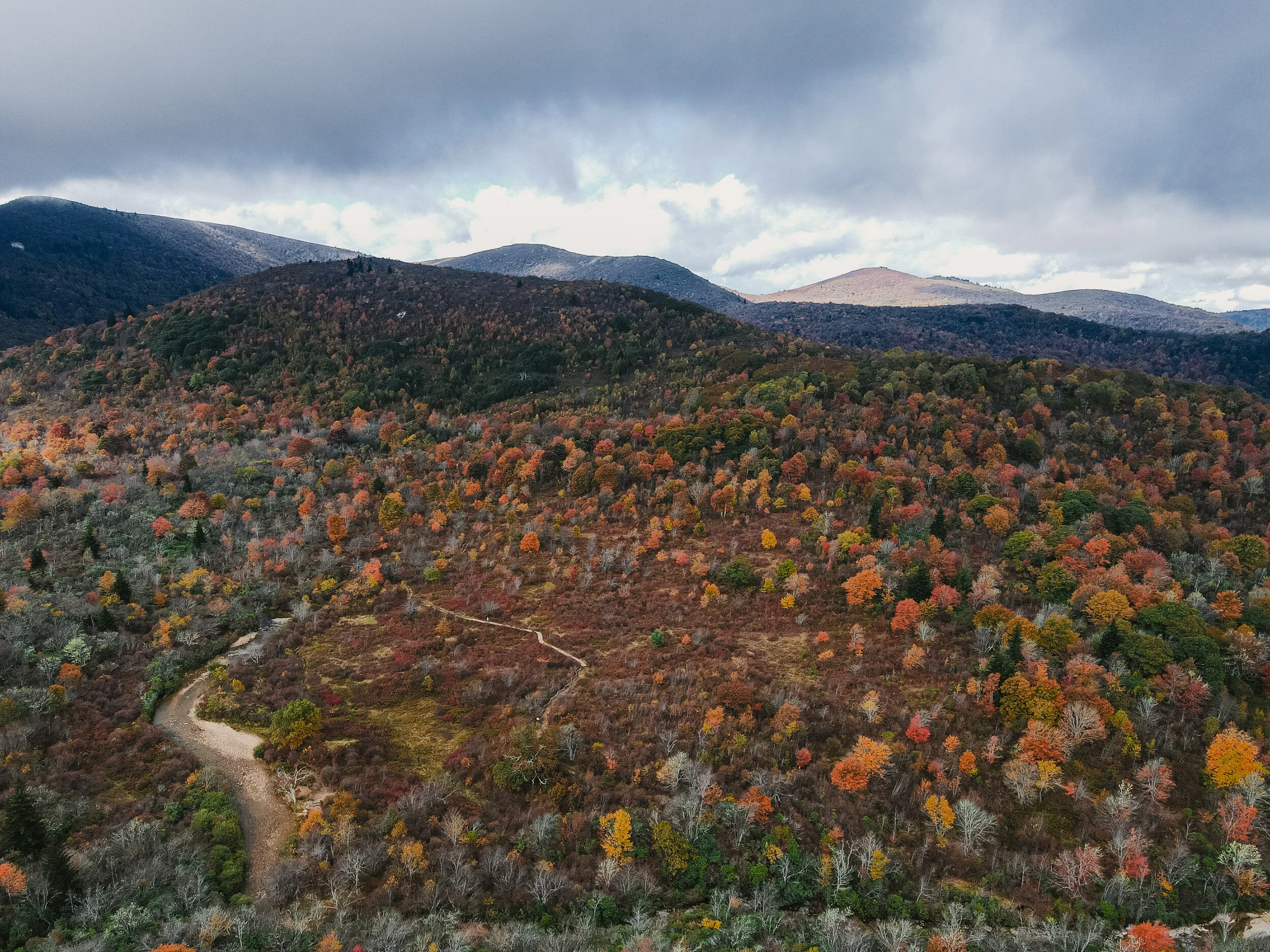 Best Hiking Trails on the Blue Ridge Parkway — Gracefullee Made