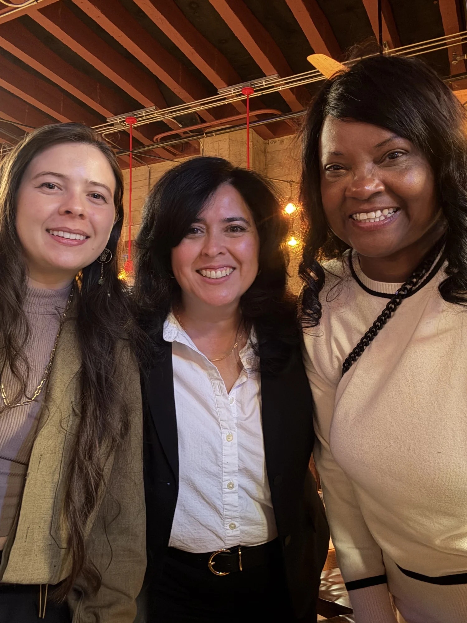 ASSOCIATION OF WOMEN IN WATER, ENERGY & ENVIRONMENT