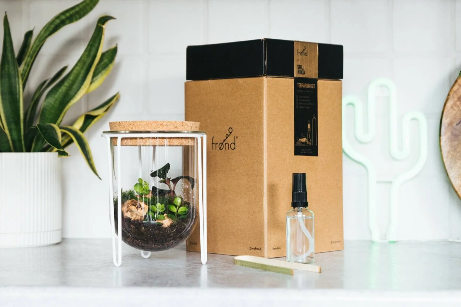Frond: Cos A Suspended Glass Terrarium with Kit — Frond
