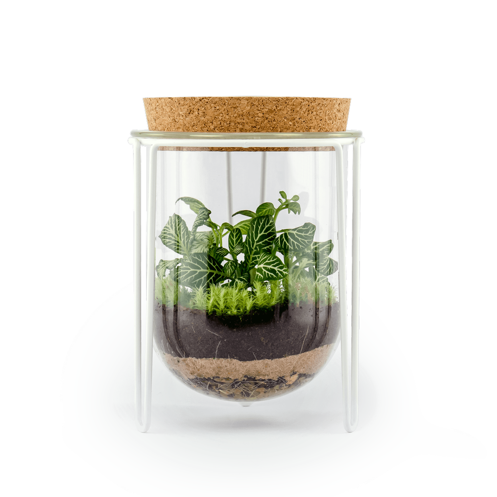 COS MOUNT - Myfrond | https://www.frond.uk/ — Frond