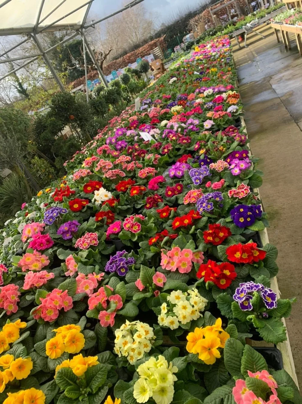 Get in Touch — Floralands Garden Centre | Part of the Hollybeck Family