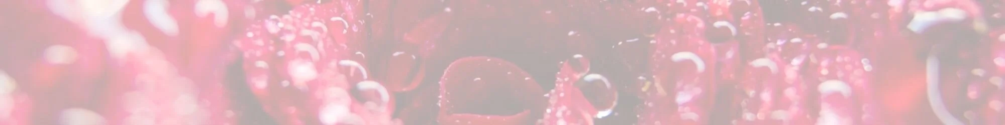 5/5 YONI Magic — CHAKTI Yoga