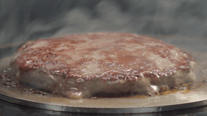 Our Product — RoboBurger