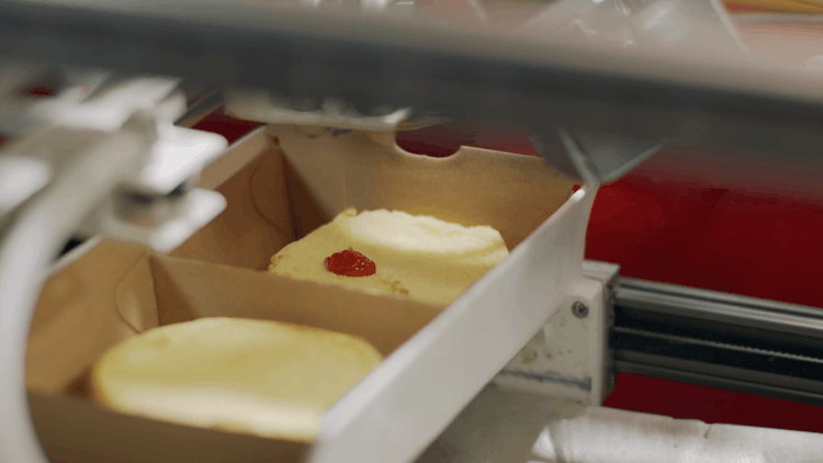 Our Product — RoboBurger