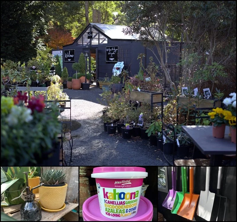 Emu Valley Rhododendron Garden