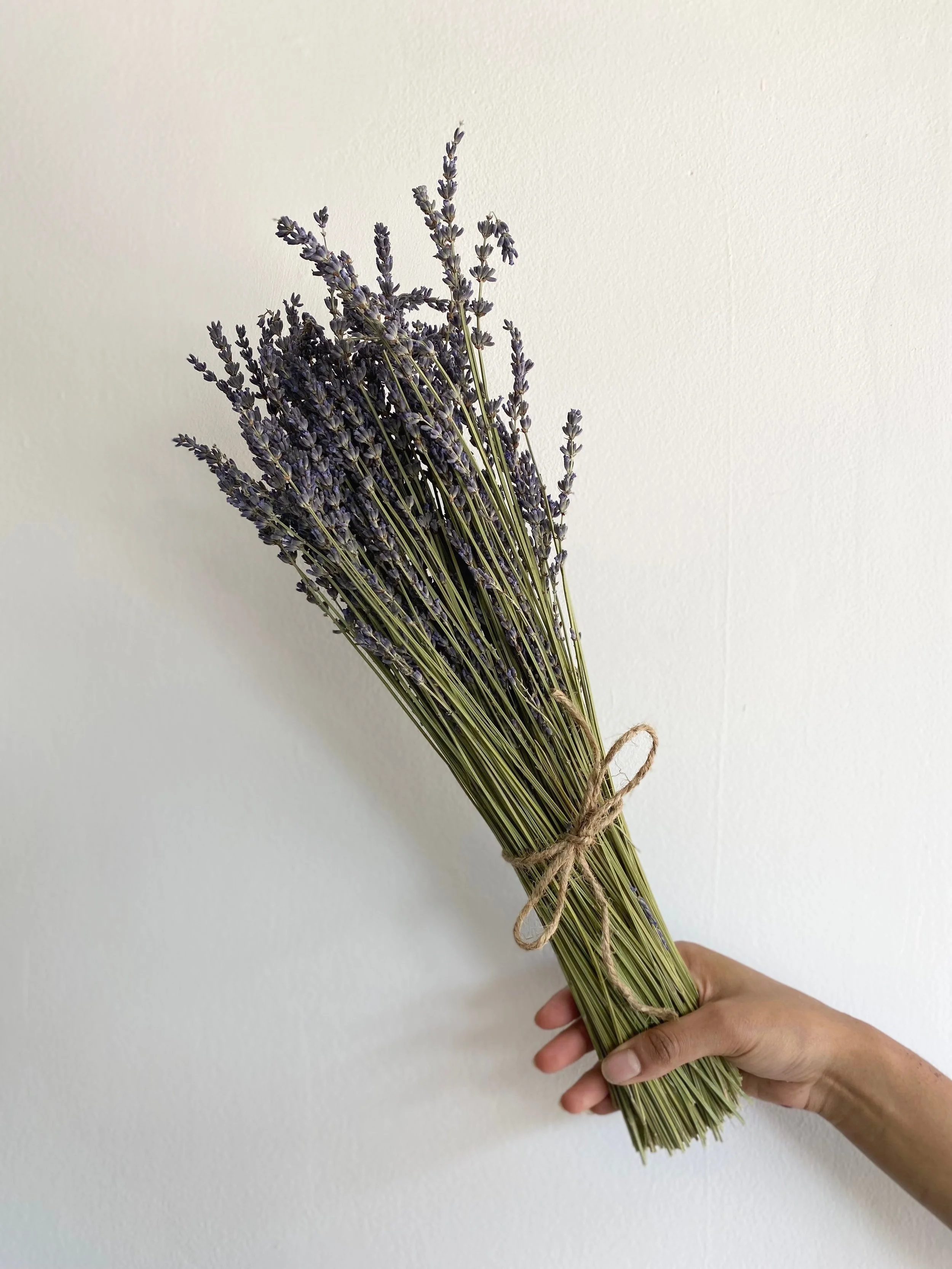 Toronto Flower Delivery From Our Junction Flower Shop | Junction Flower ...