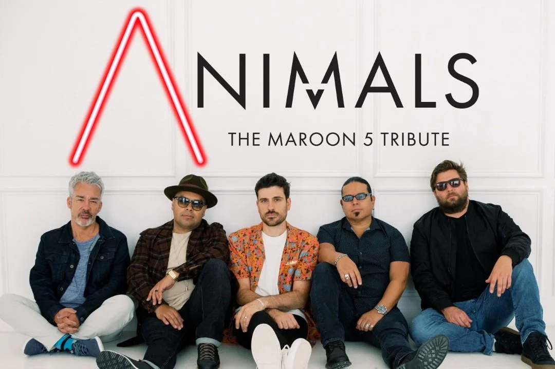 Animals Maroon 5 Cover