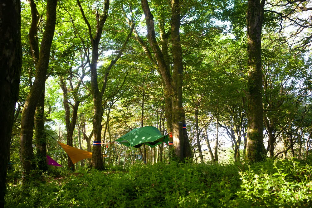 KiteView Farm
