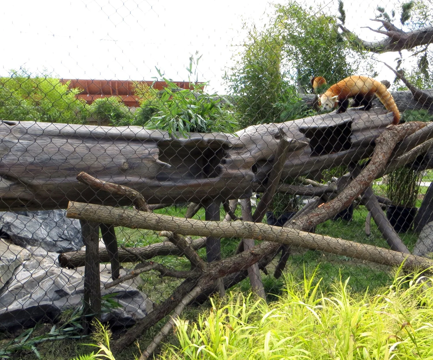 Custom Fabrication — Zoo Enrichment Lab