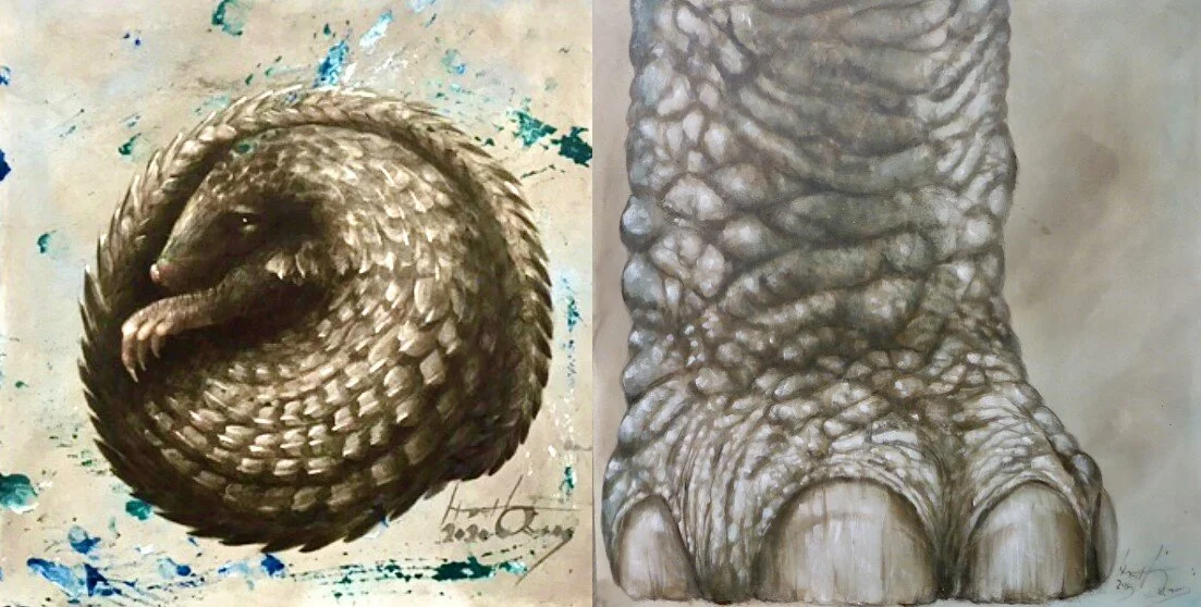 Animal Art — Zoo Enrichment Lab