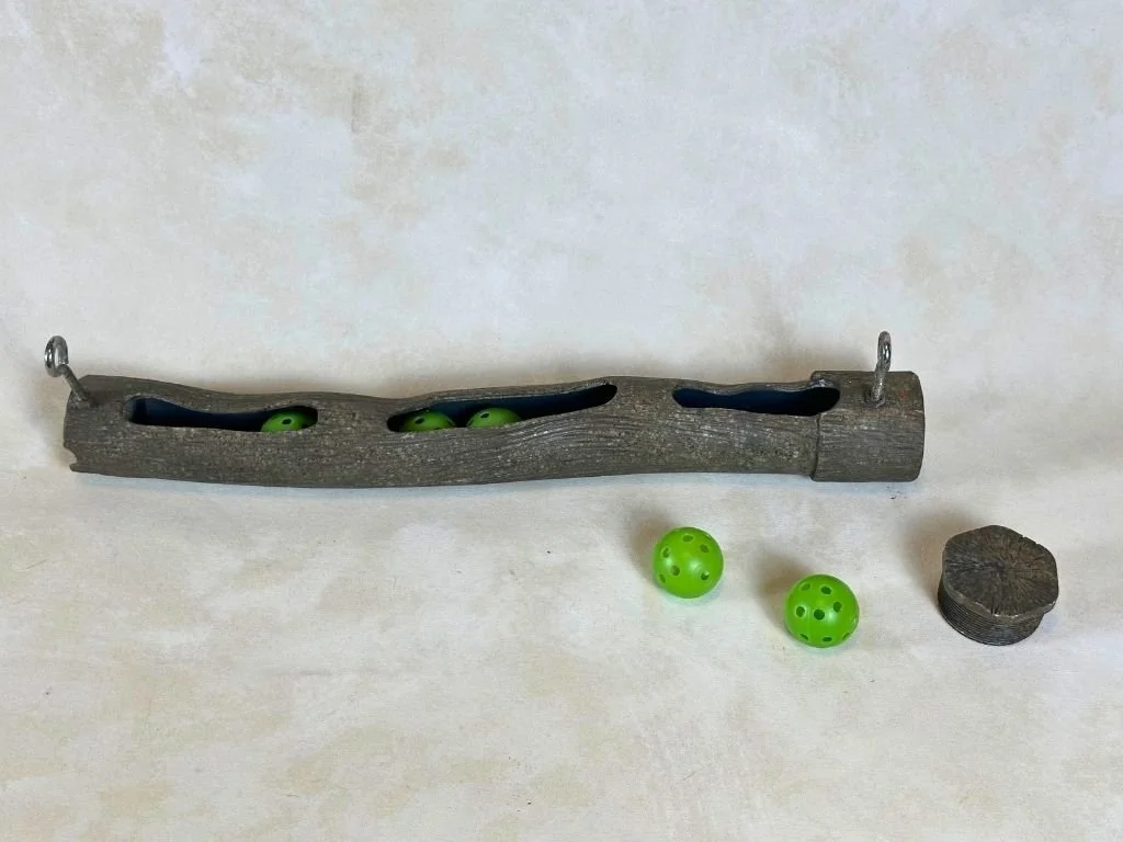 Enrichment — Zoo Enrichment Lab