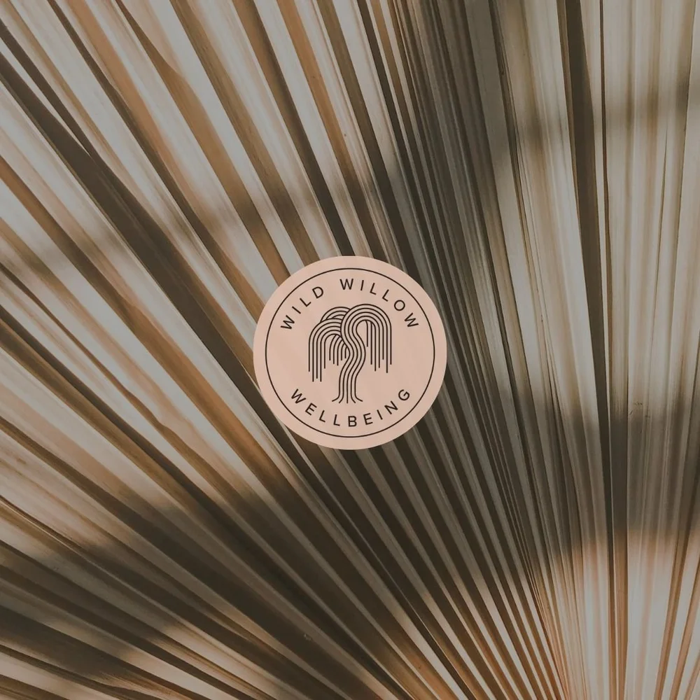 Wild Willow Wellbeing | Brand Design — Salt & Chalk Studio
