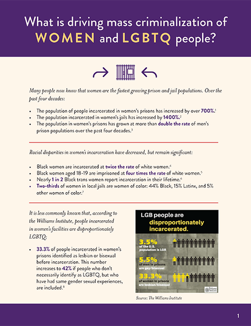 What is Driving Criminalization of Women & LGBTQ People? — Interrupting ...