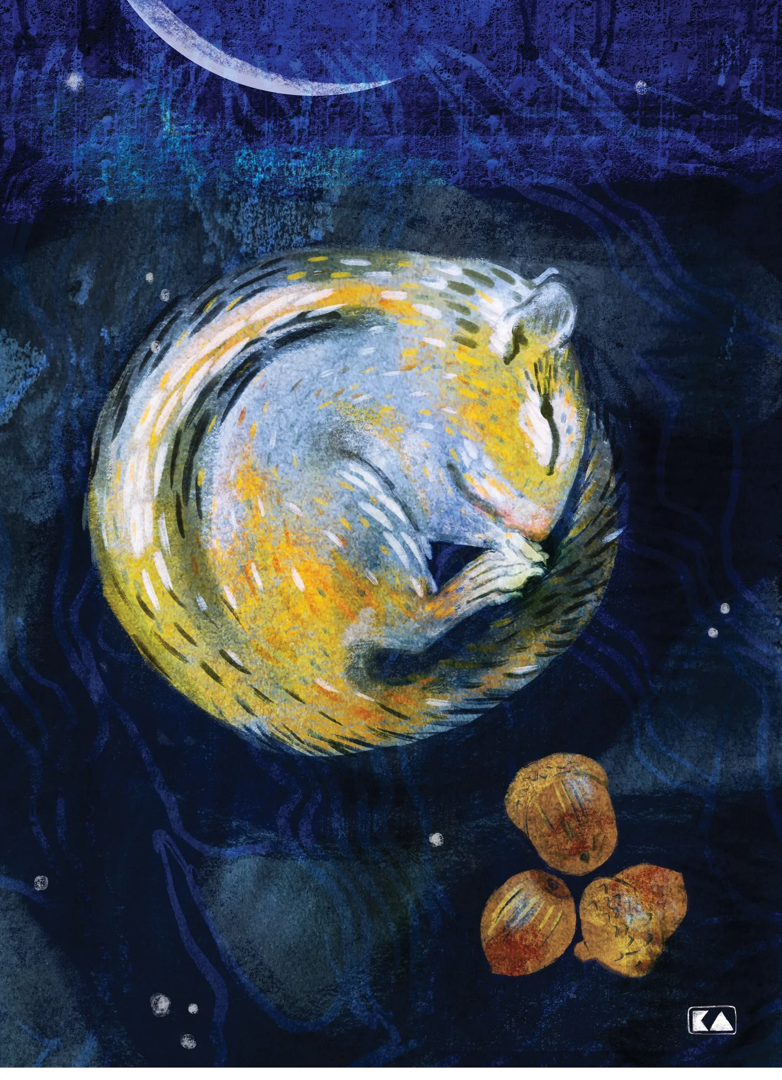 Work | All — KATE ANDERSON | illustration + design