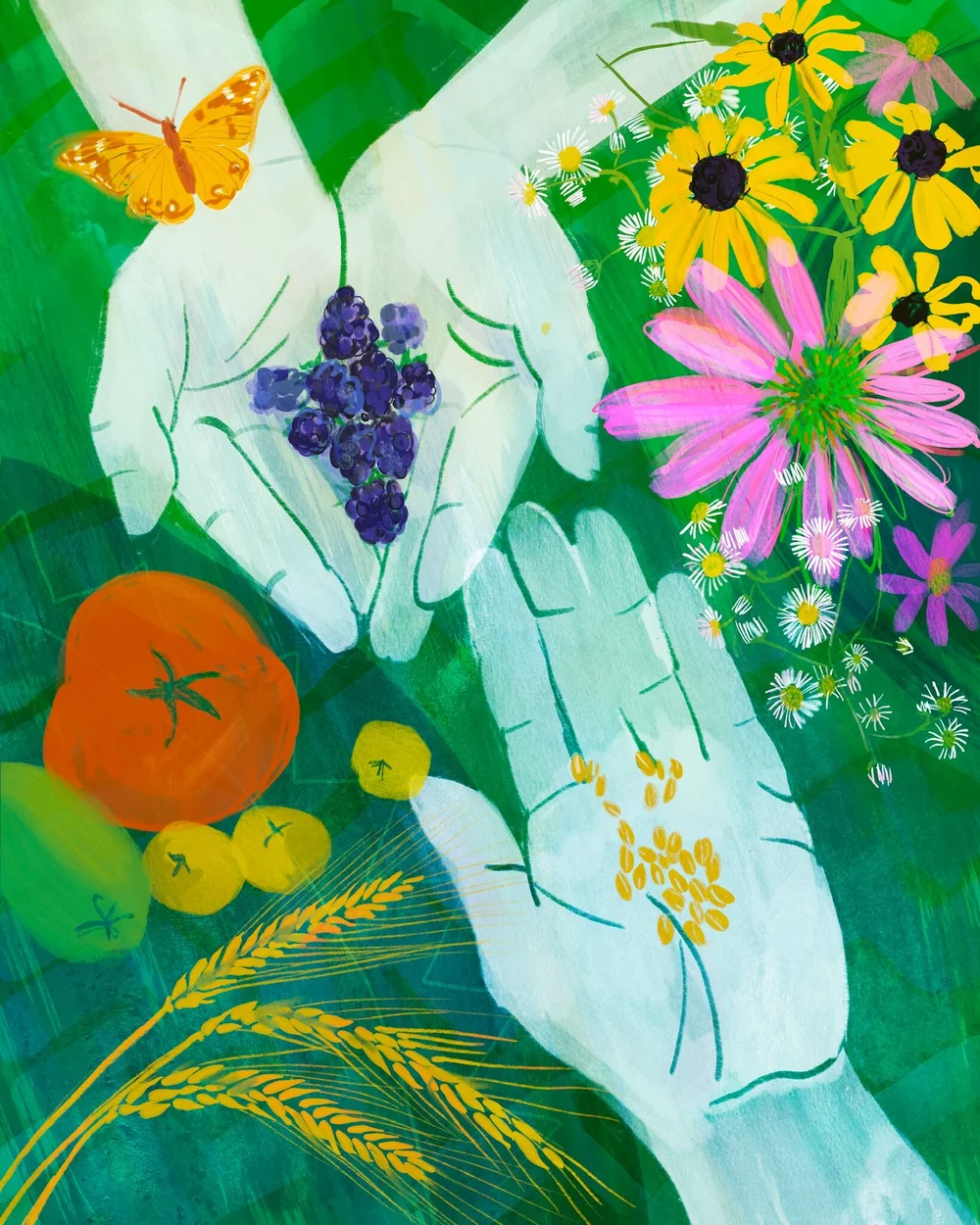 Seasons of Magic — KATE ANDERSON | illustration + design