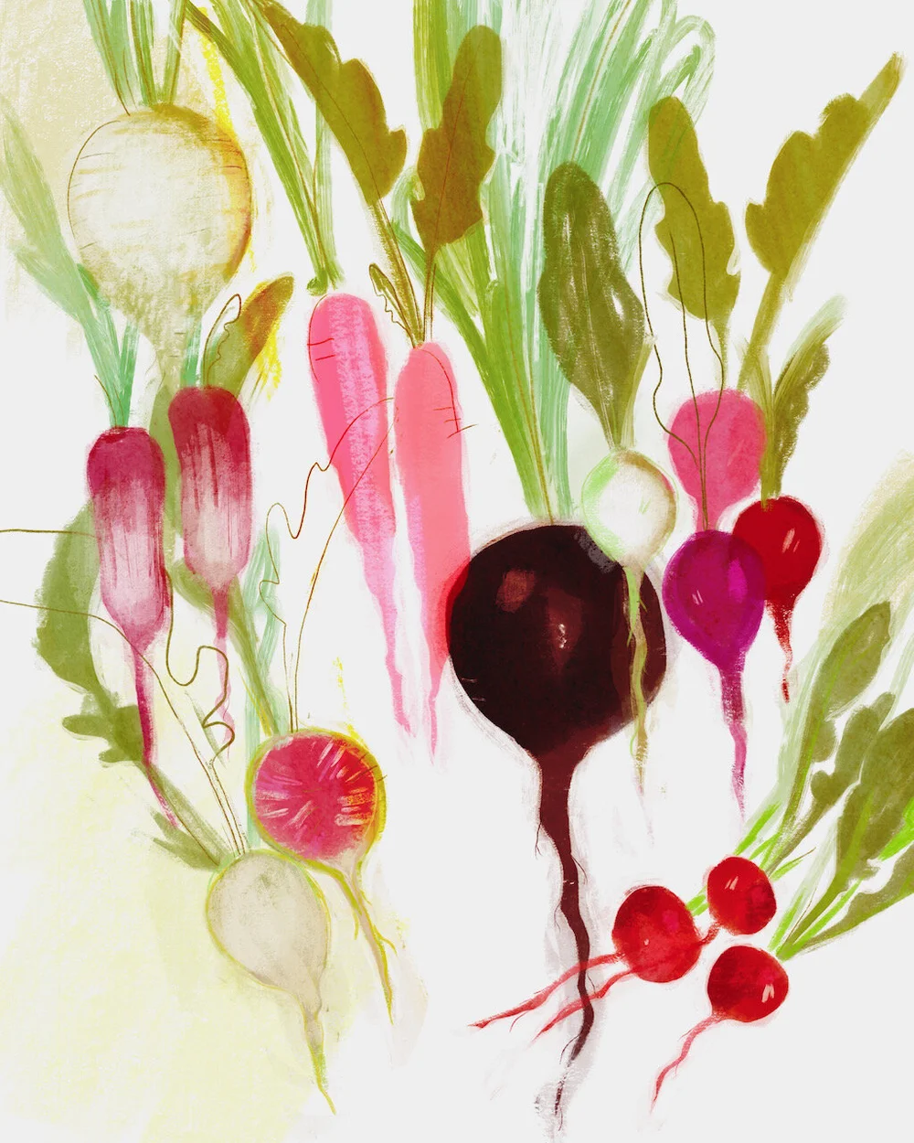 Favorite Winter Foods — KATE ANDERSON | illustration + design