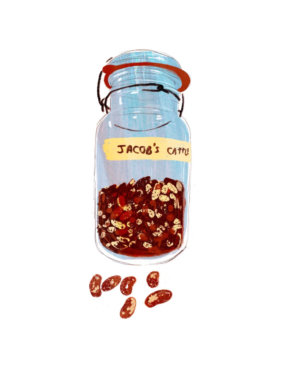 Favorite Winter Foods — KATE ANDERSON | illustration + design