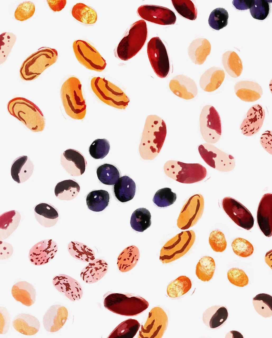 Favorite Winter Foods — KATE ANDERSON | illustration + design