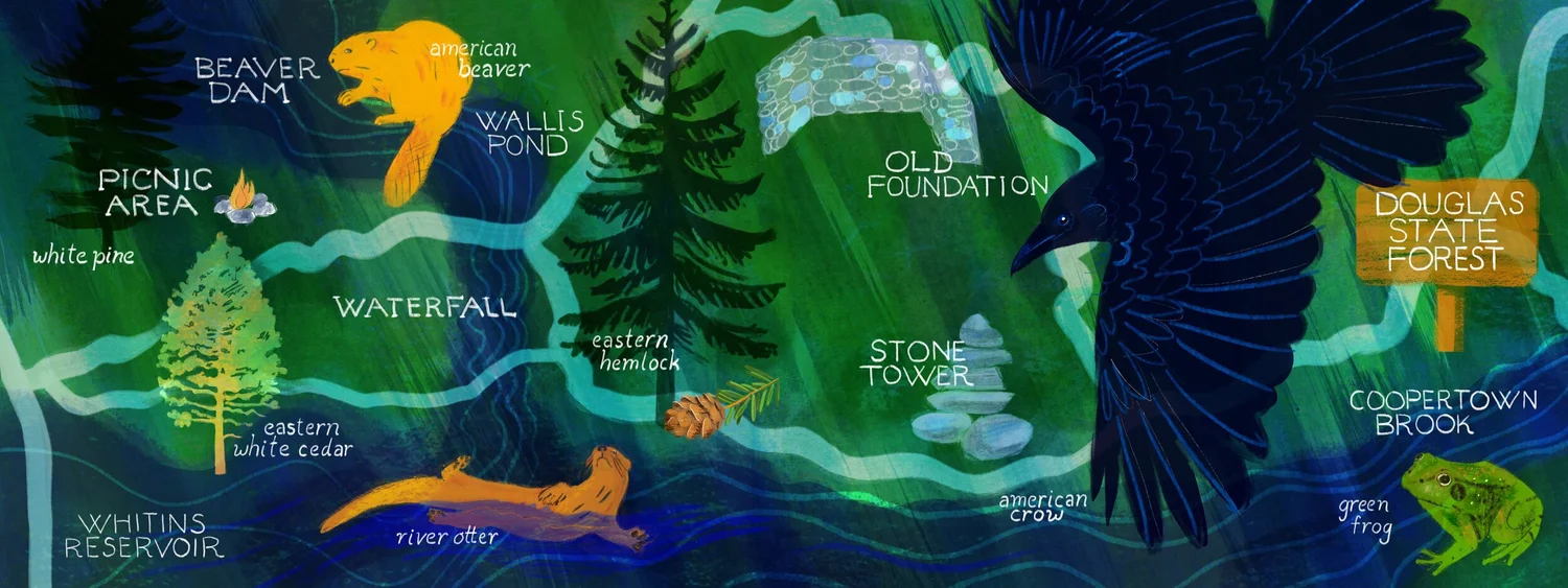 Douglas State Forest Map — KATE ANDERSON | illustration + design