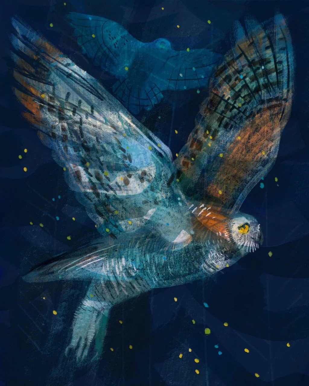Work | All — KATE ANDERSON | illustration + design