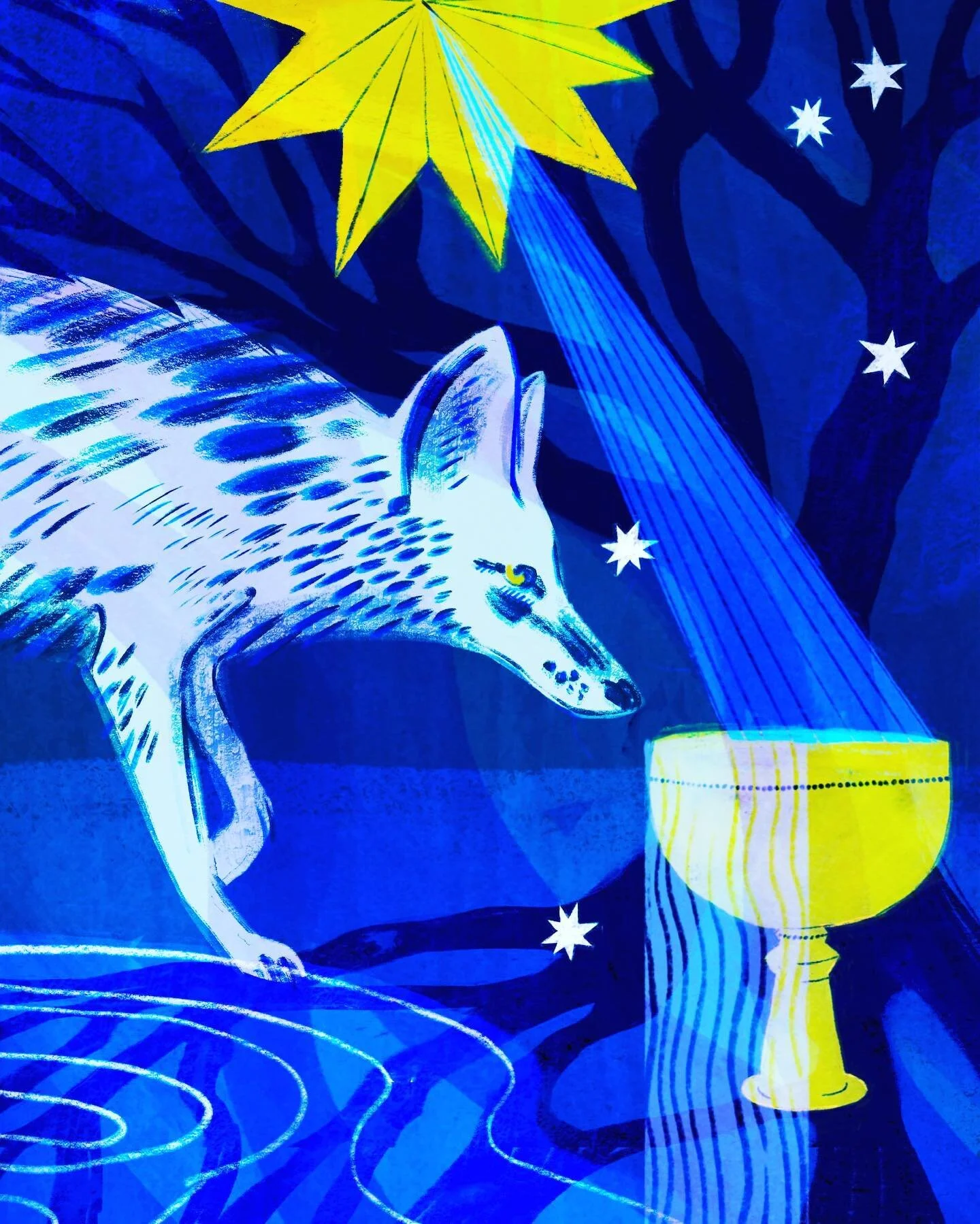 KATE ANDERSON | illustration + design
