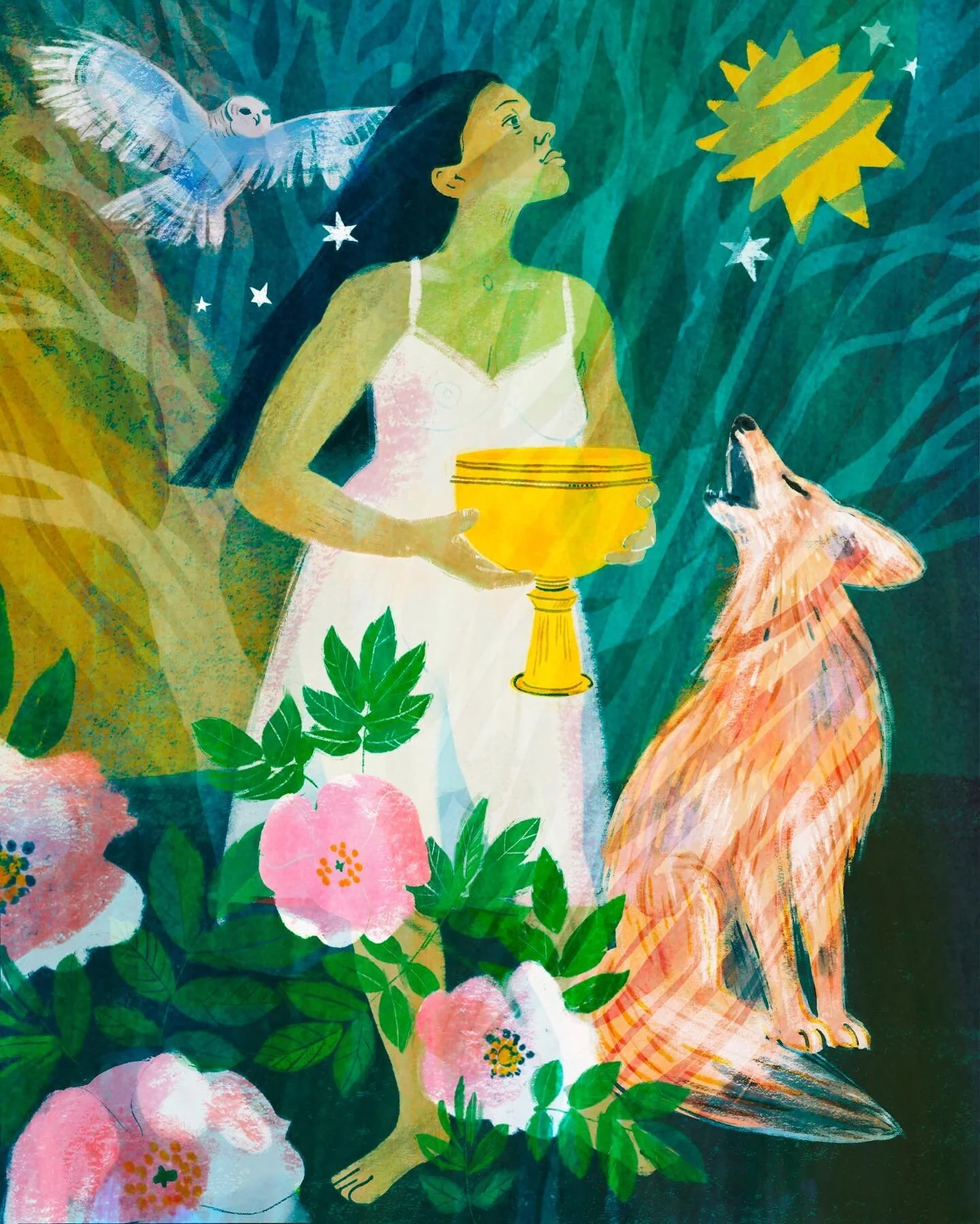 KATE ANDERSON | illustration + design