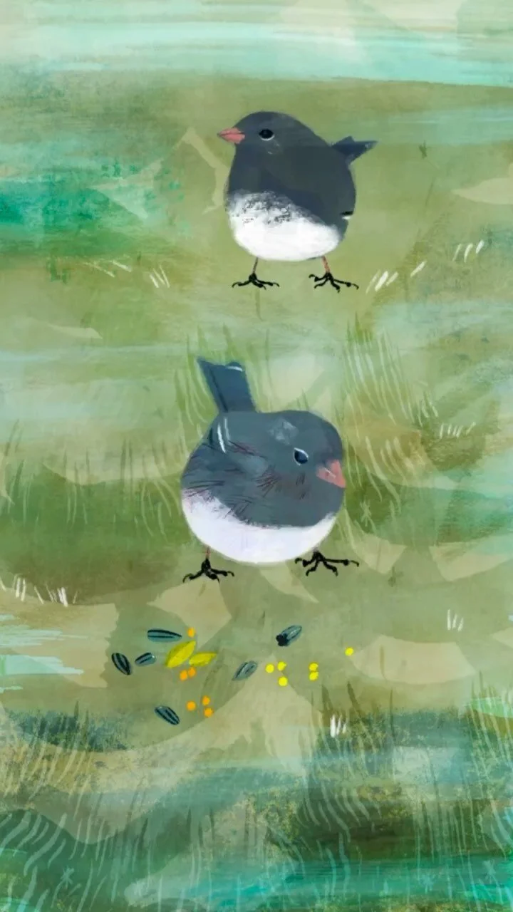 KATE ANDERSON | illustration + design