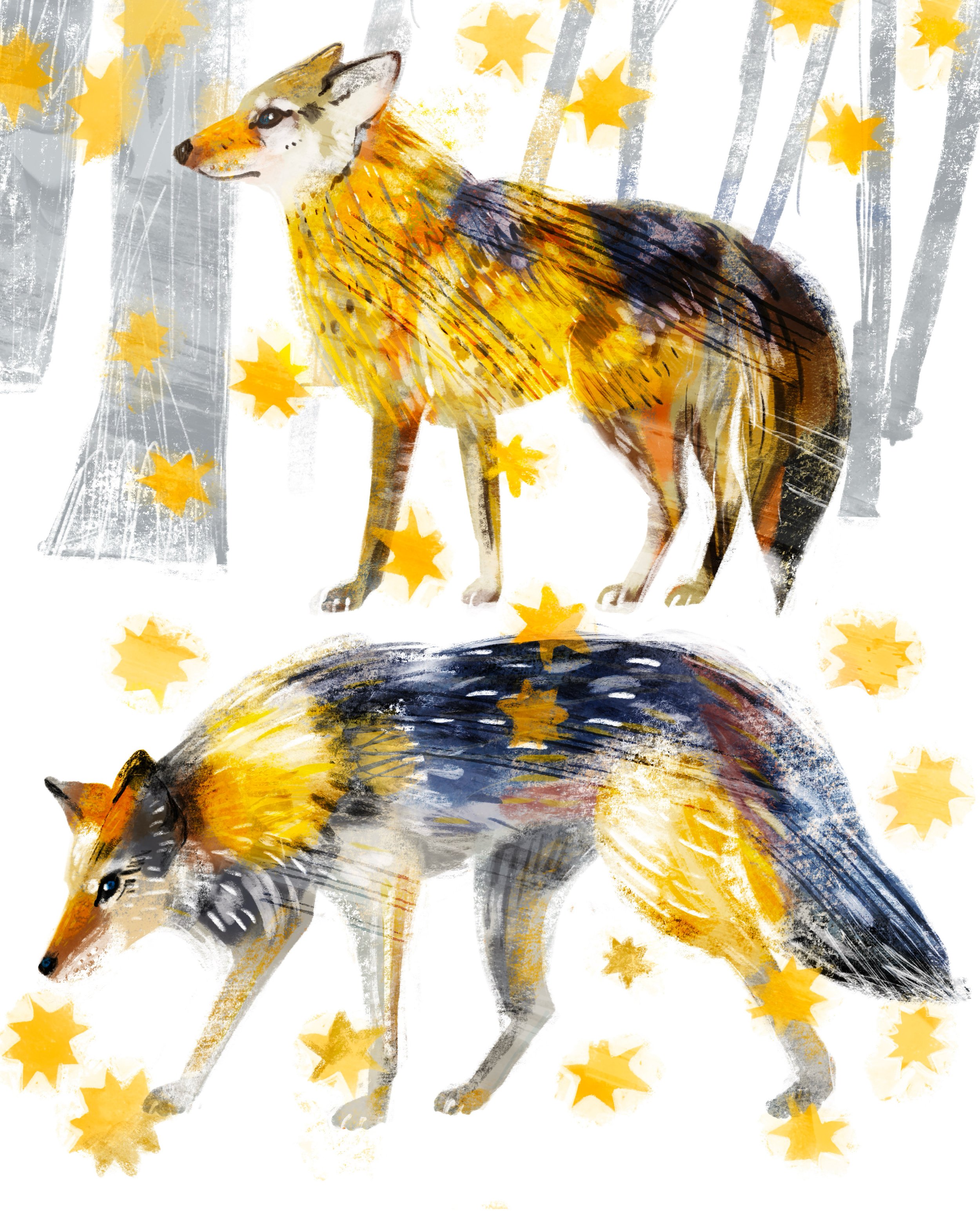 Work | All — KATE ANDERSON | illustration + design