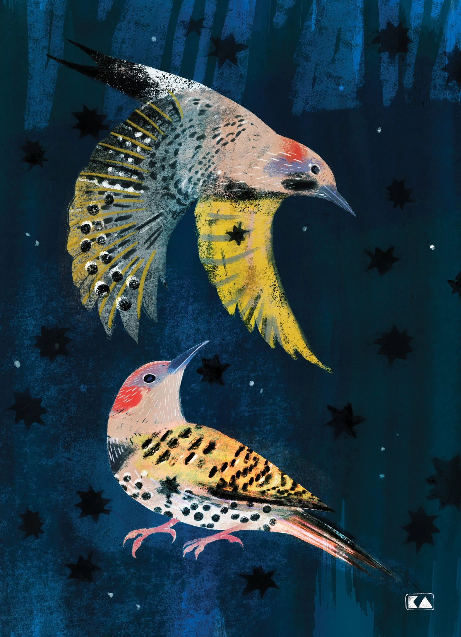 KATE ANDERSON | illustration + design