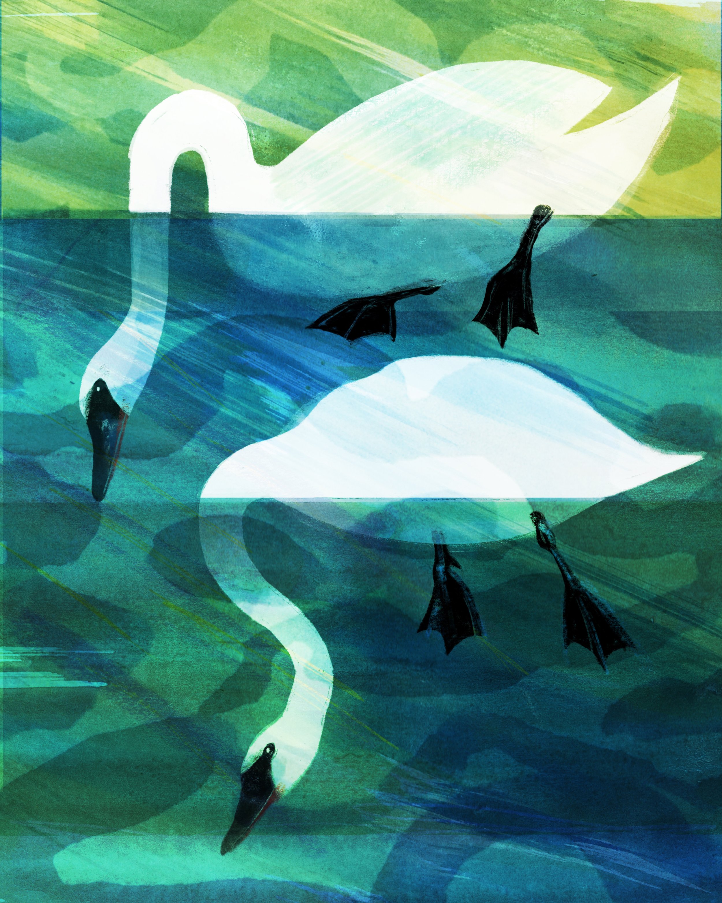 Work | All — KATE ANDERSON | illustration + design