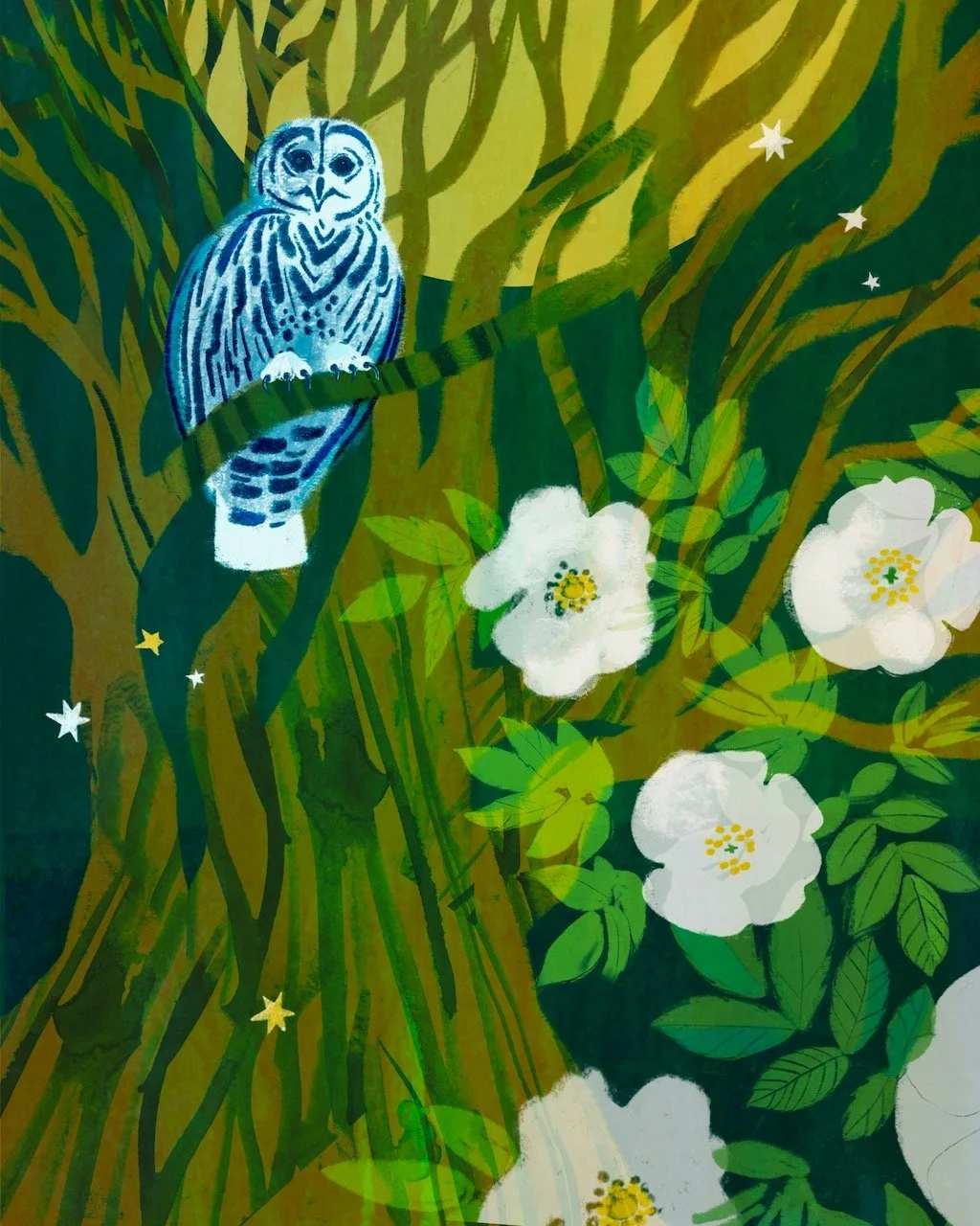 Work | All — KATE ANDERSON | illustration + design