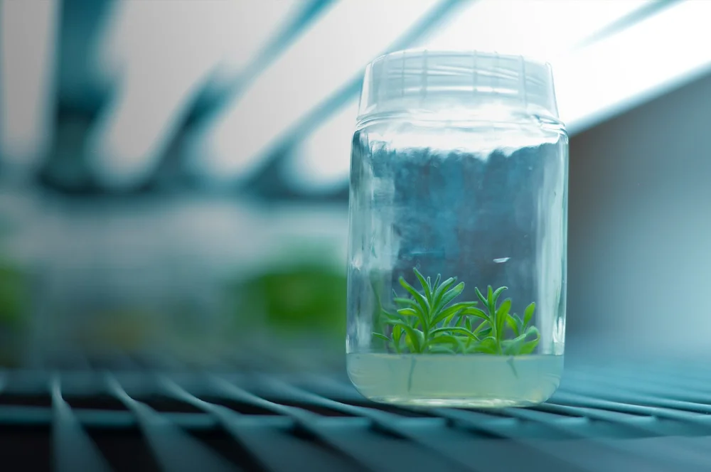 Fertum Bio