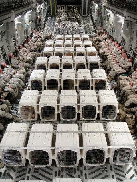 Counter-IED — K2 Solutions, Inc.