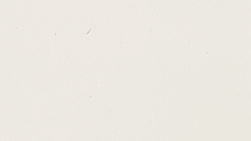 Qima | The Coffee Revolution