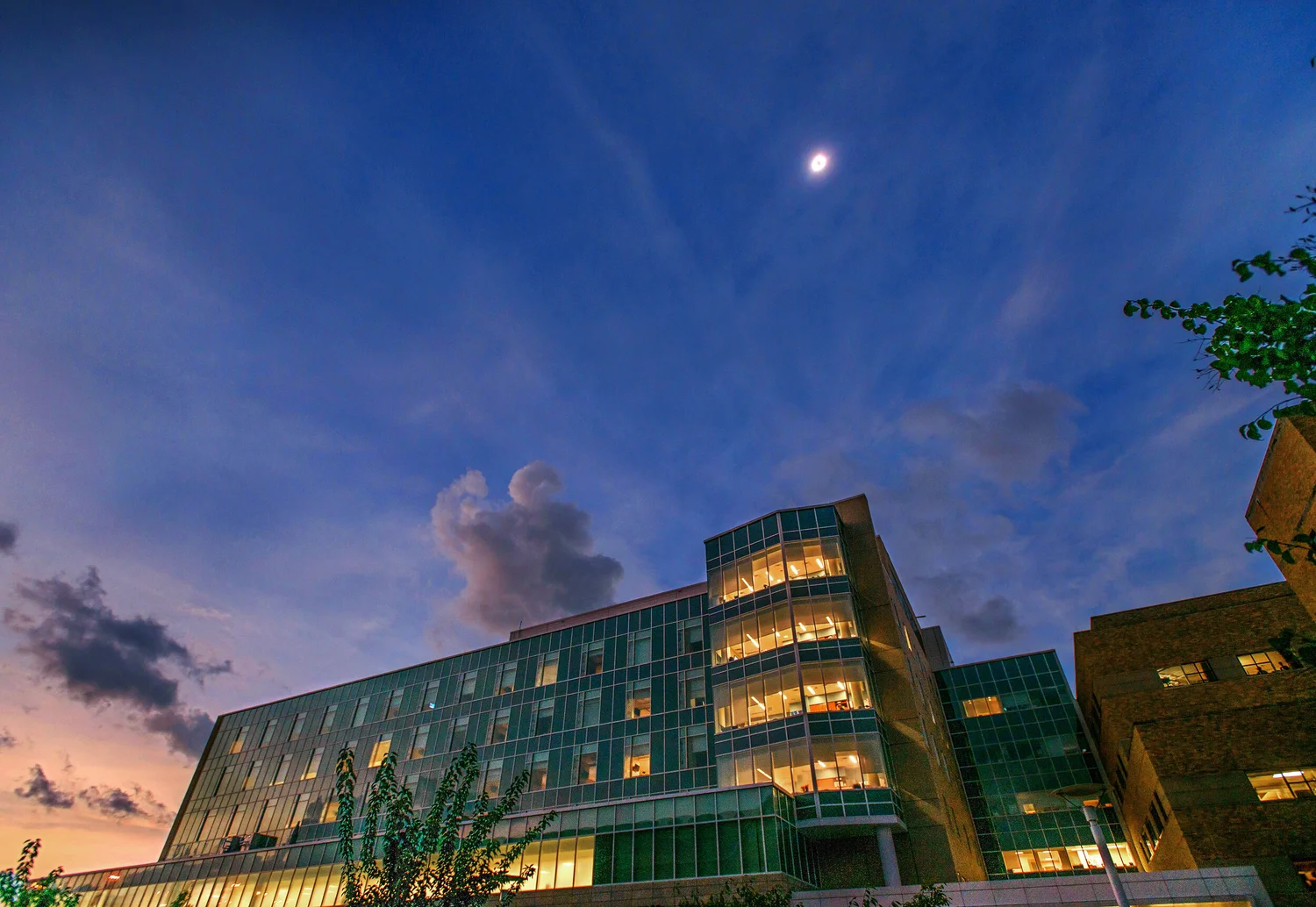 Tiger Institute for Health Innovation