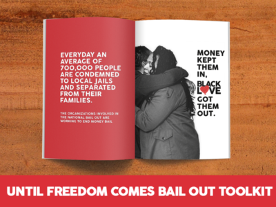 Until Freedom Comes Bail Toolkit — National Bail Out