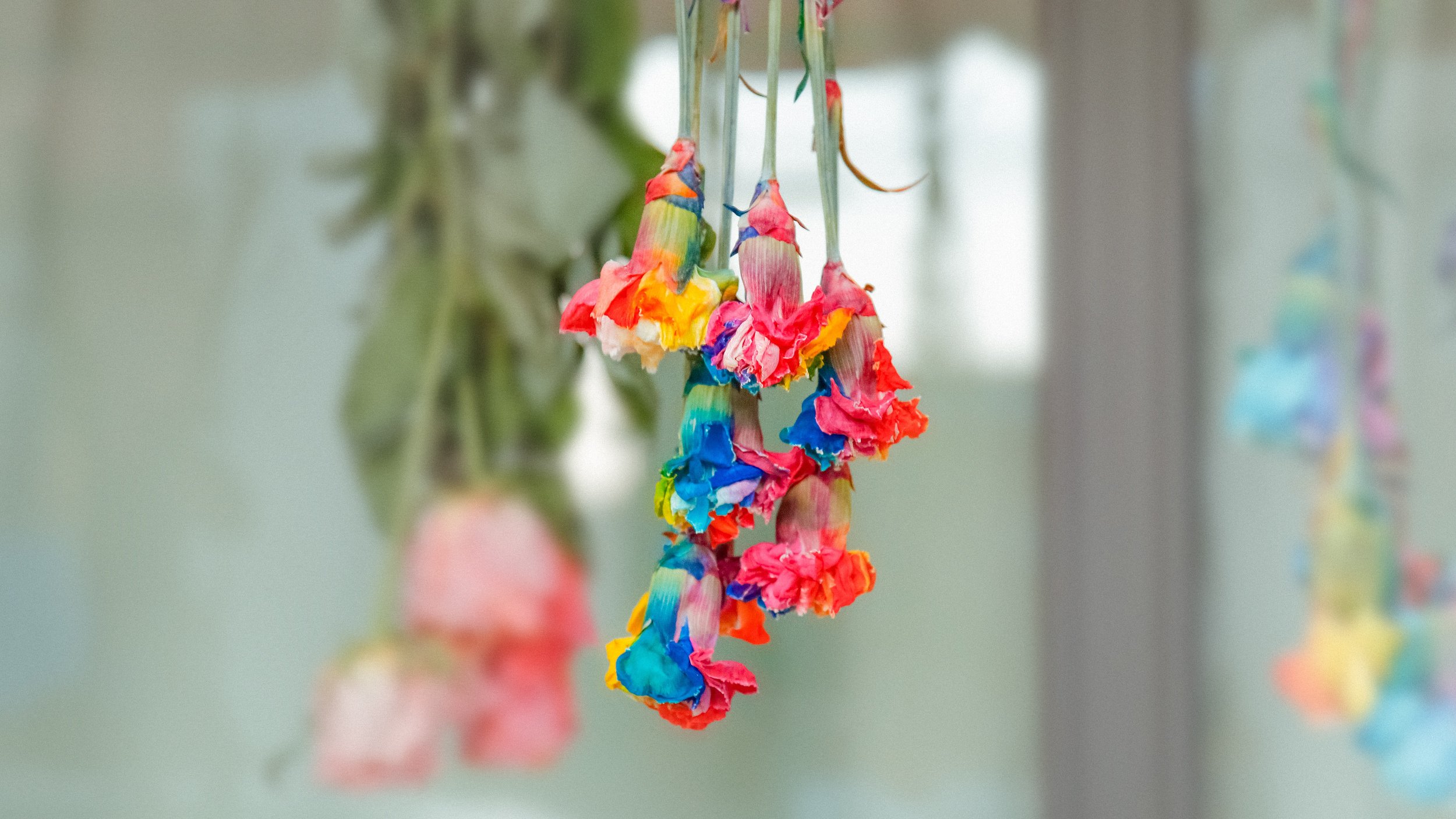 Flower Essences — Marigold Women