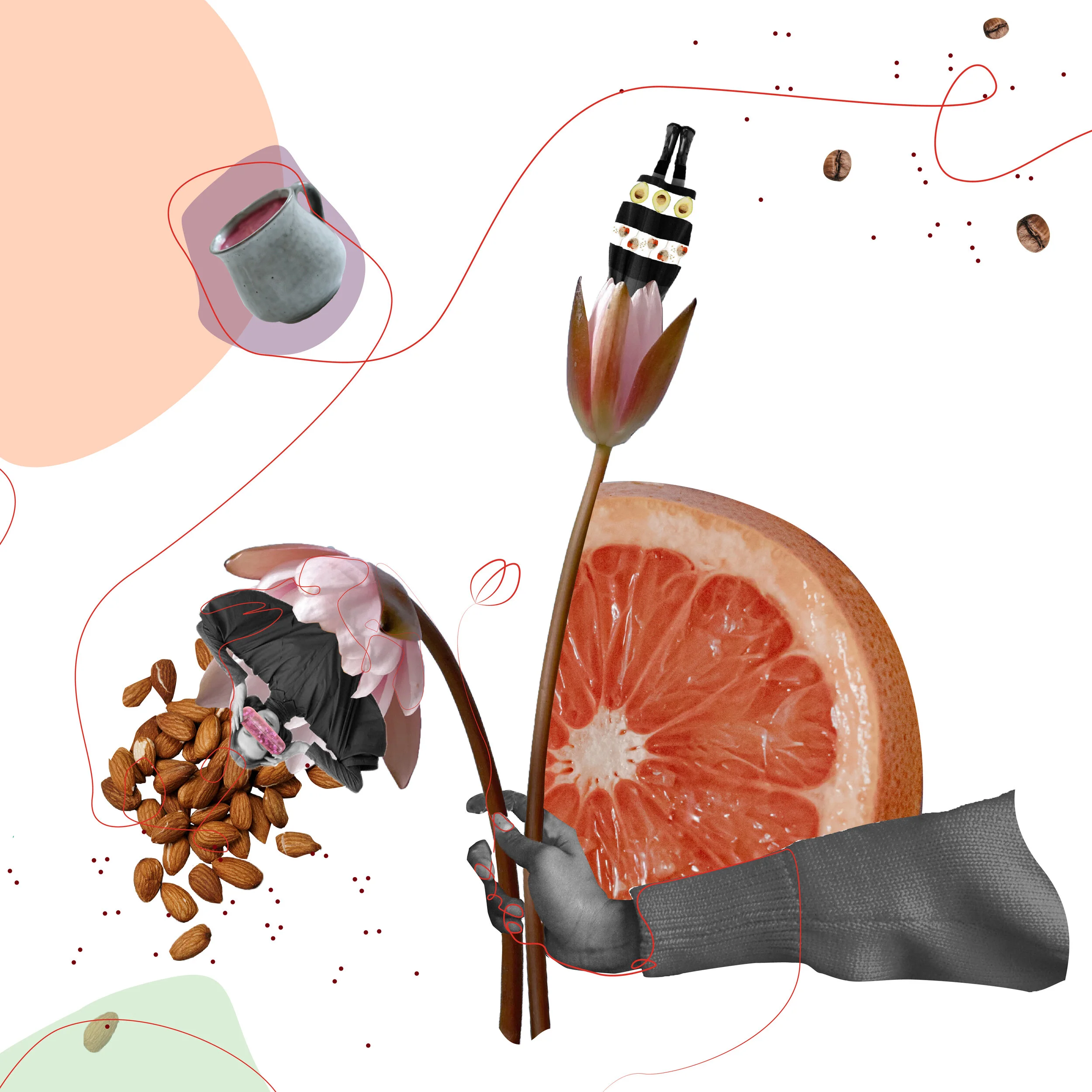 Sustenance Resource List | Sustainable Food & Drink — AS SUSTAINABLE AS ...