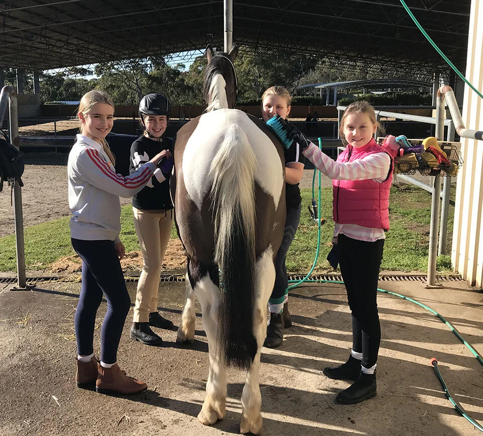 Pony Birthday Parties — MC Equestrian Riding School
