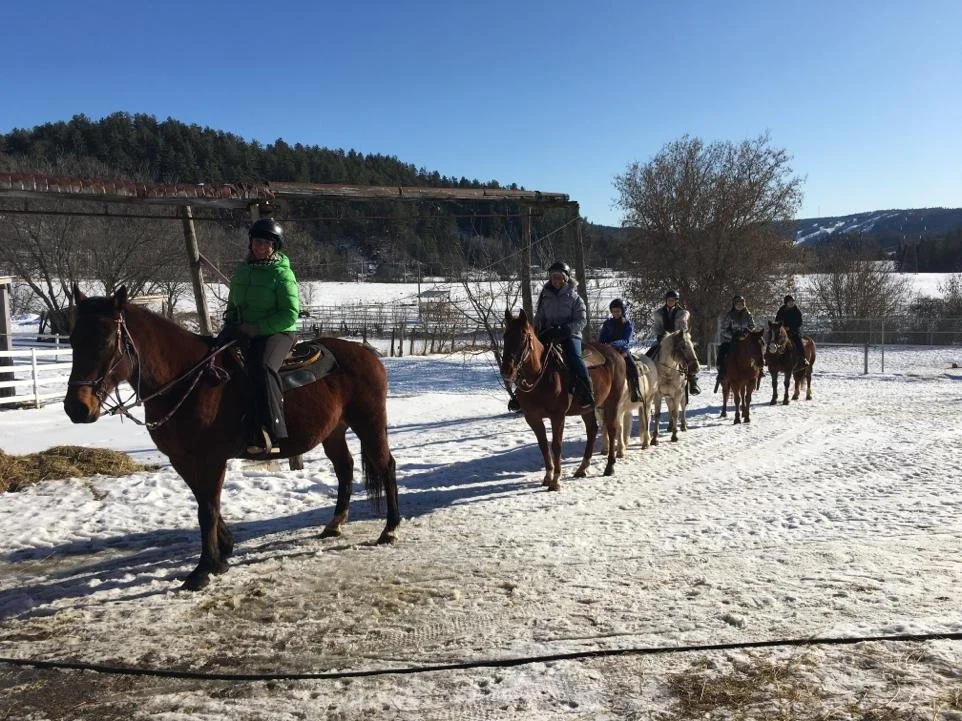 Monica in the Spotlight — MC Equestrian Riding School