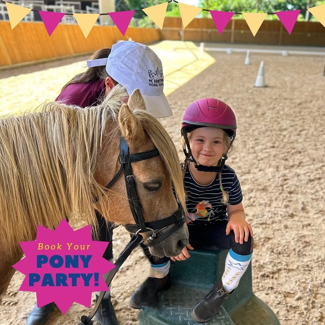 MC Equestrian Riding School