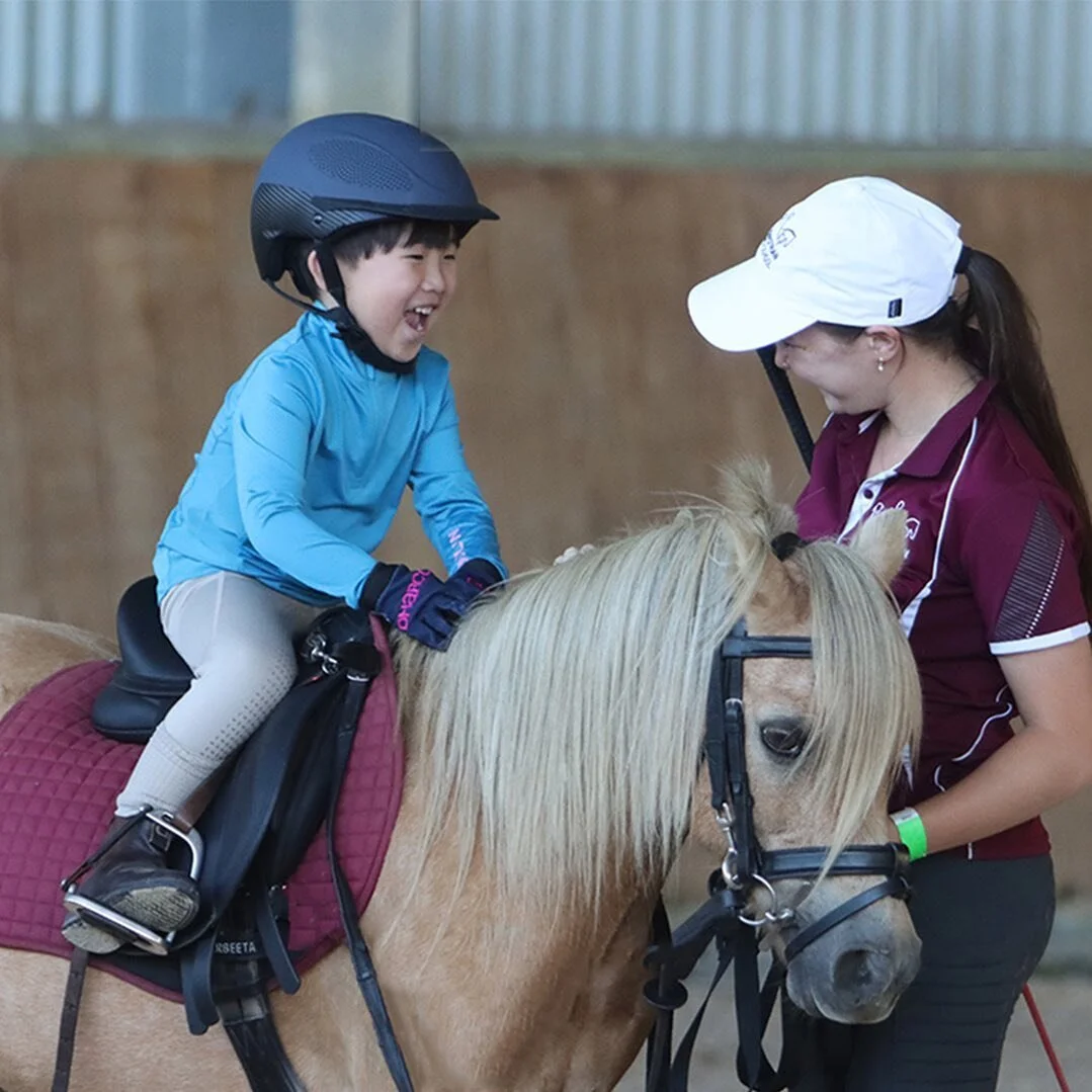 MC Equestrian Riding School