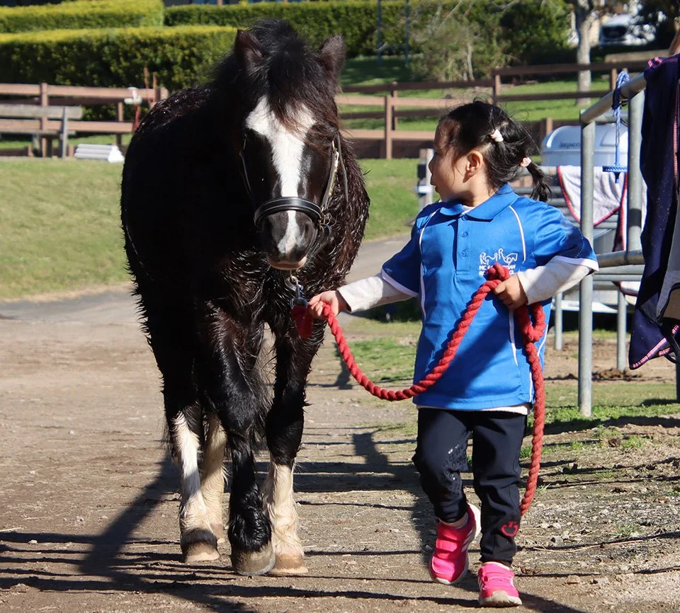 Pony Rides — MC Equestrian Riding School