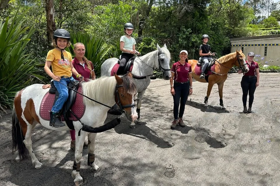 Horse Riding Lessons for Two — MC Equestrian Riding School