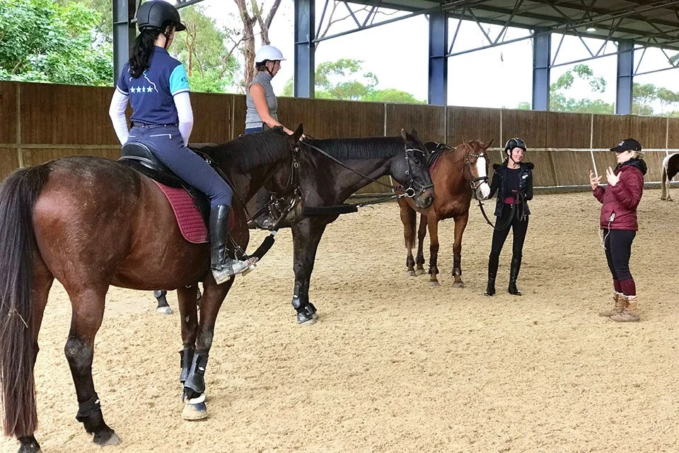 MC Equestrian Riding School