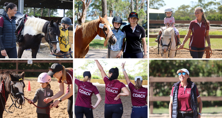 MC Equestrian Riding School