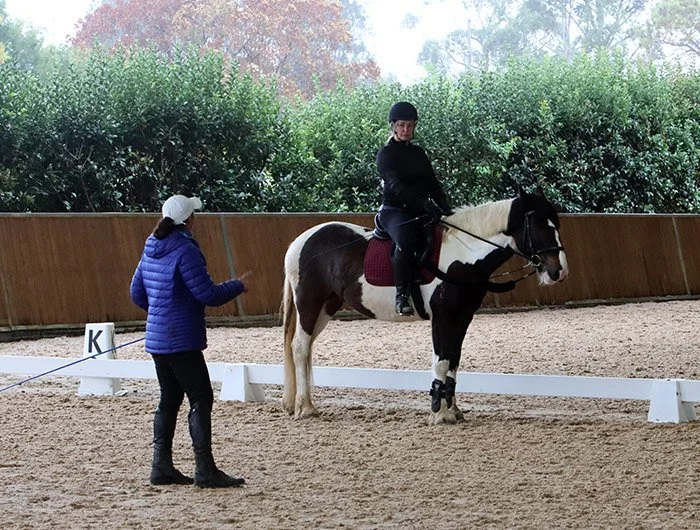 Horse Riding Lessons in Terrey Hills — MC Equestrian Riding School
